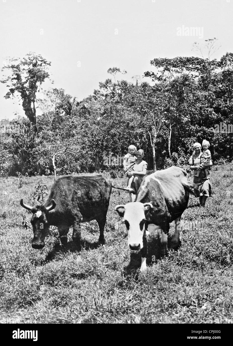 German expatriates in Brazil, 1939 Stock Photo - Alamy