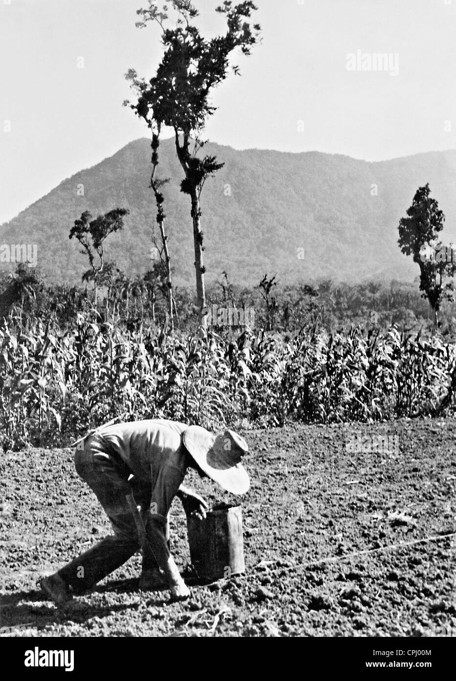 Farmer in fields Black and White Stock Photos & Images - Alamy