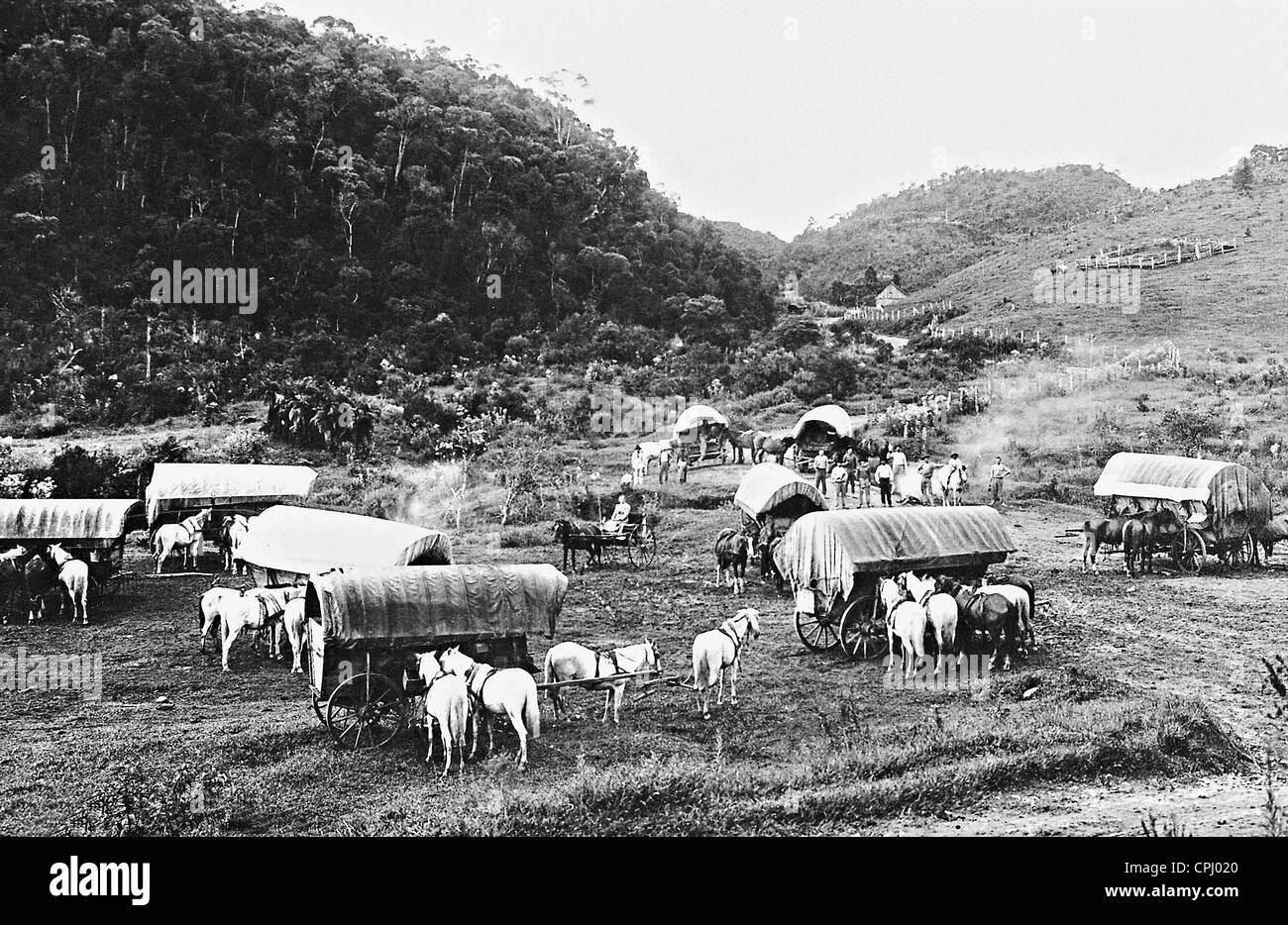 Rain brazil Black and White Stock Photos & Images - Alamy