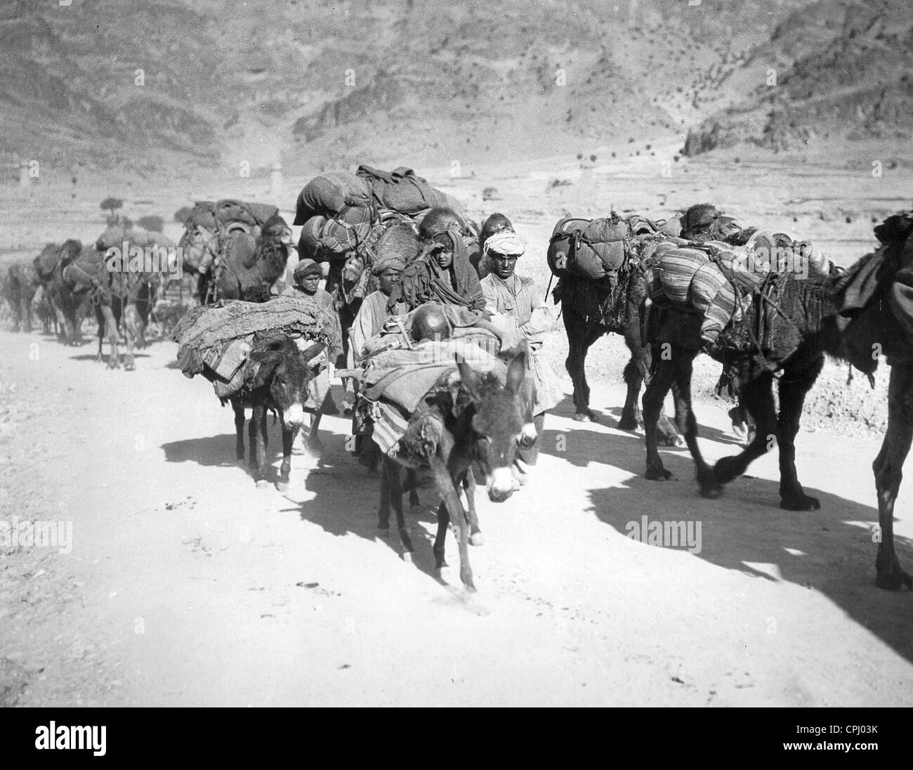 Caravans in Afghanistan, 1933 Stock Photo - Alamy