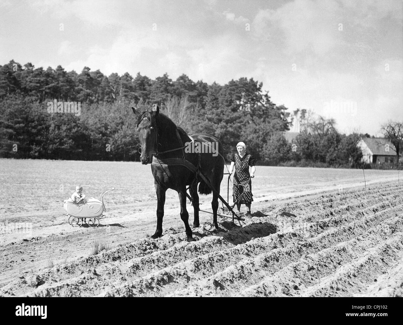Woman plowing, 1940 Stock Photo - Alamy
