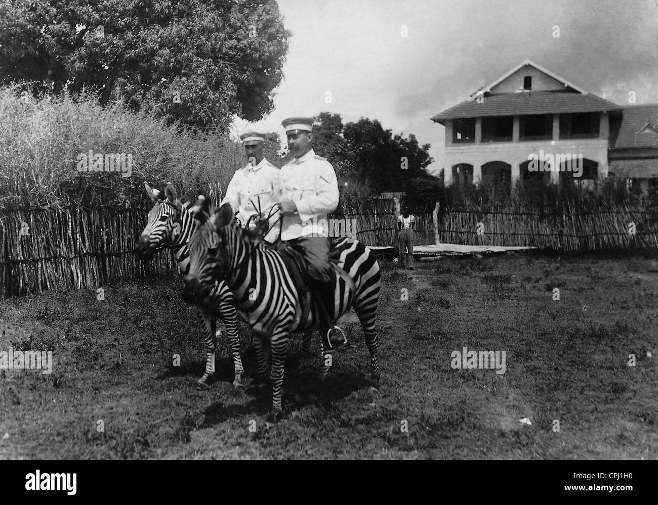 Riding Zebra In Africa