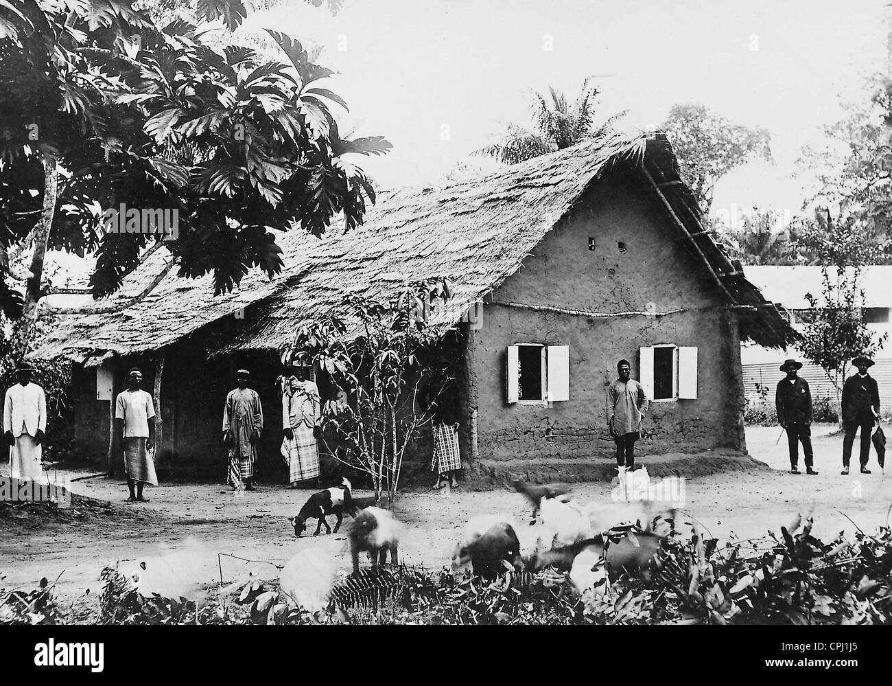 House following European-style in Cameroon, 1911 Stock Photo - Alamy