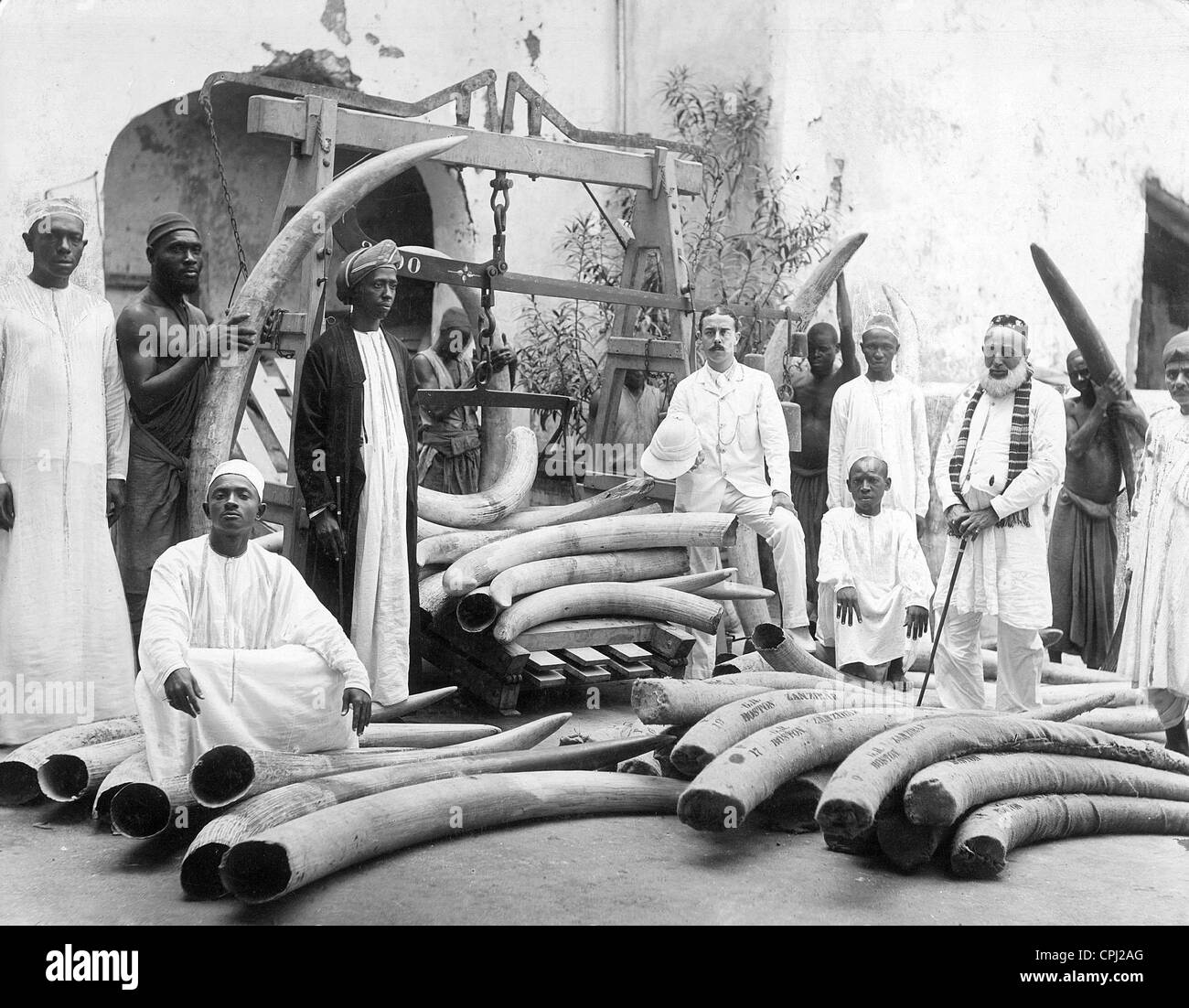 Ivory with hi-res stock photography and images - Alamy