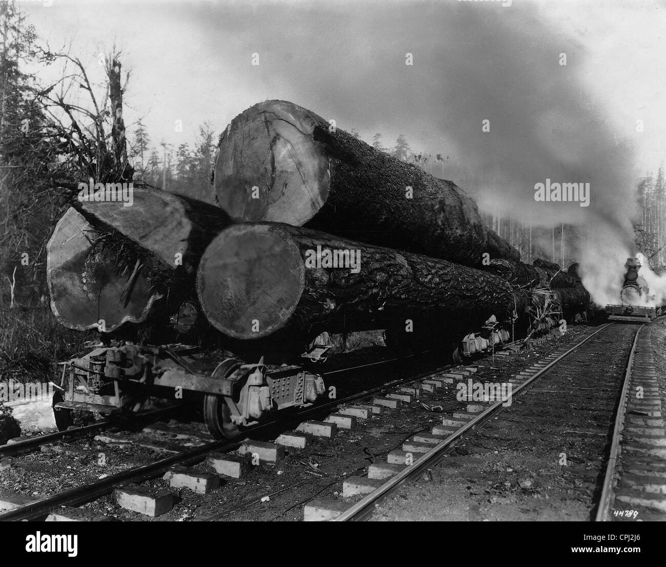 Timber transport hi-res stock photography and images - Alamy