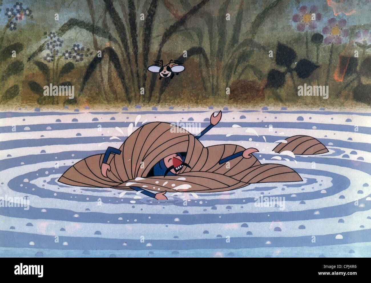 Pavouk hi-res stock photography and images - Alamy