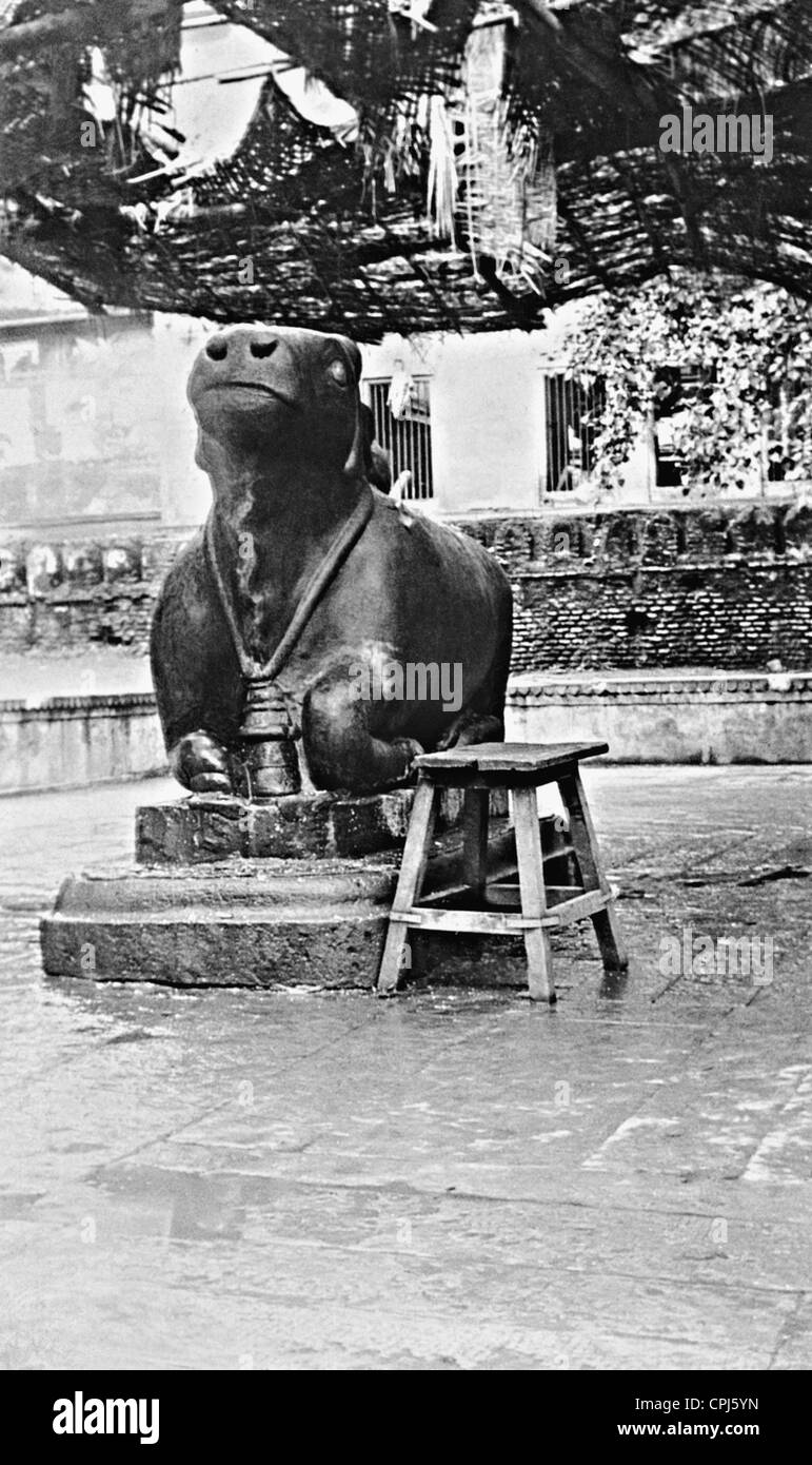 Shiva's bull Nandi Stock Photo - Alamy