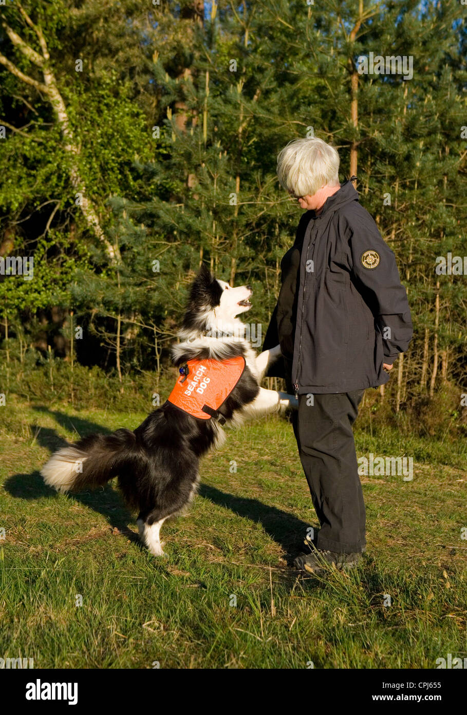 Search and rescue dog hi-res stock photography and images - Alamy