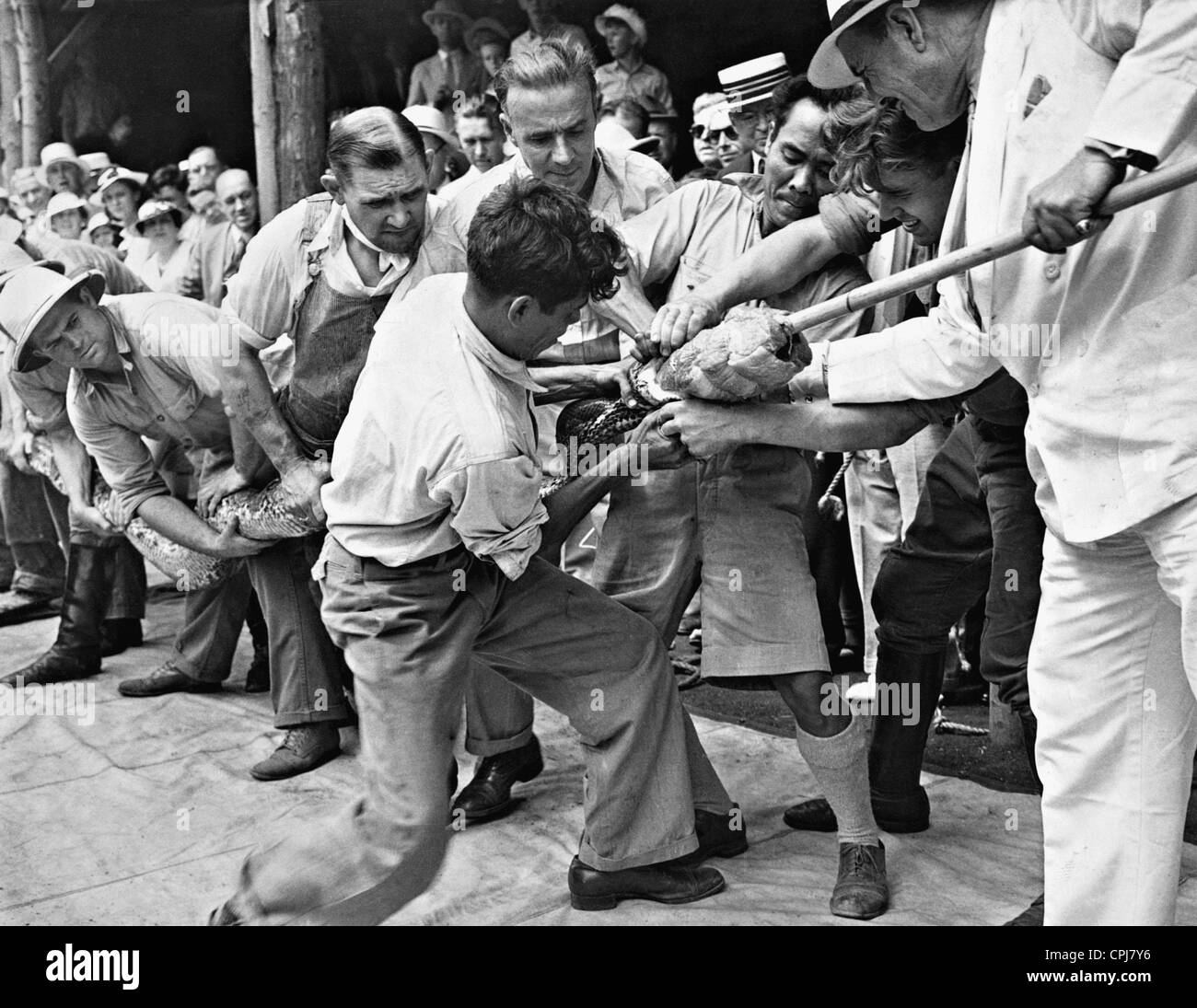 Force see Black and White Stock Photos & Images - Alamy