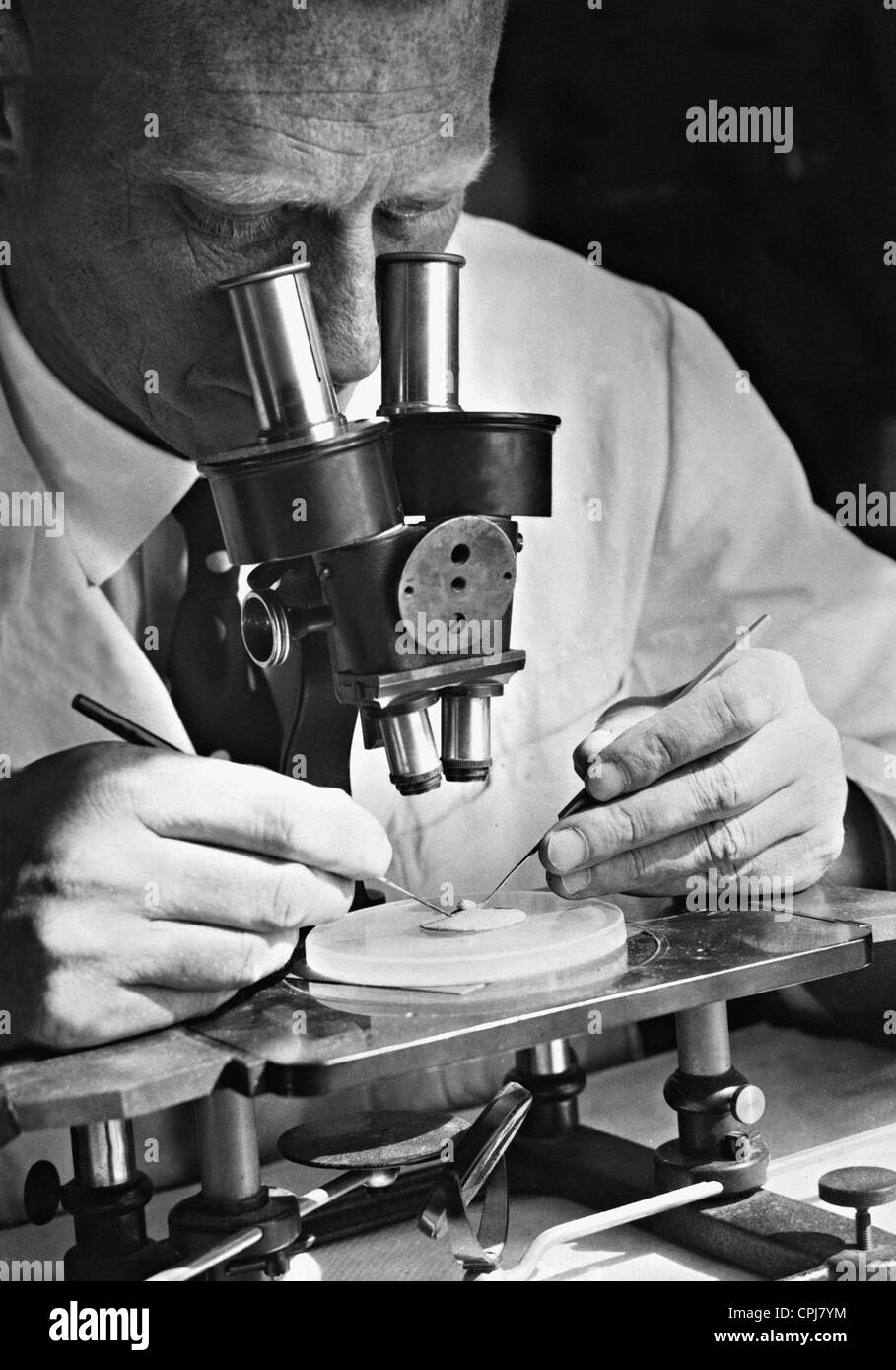 Scientist at the microscope Stock Photo - Alamy