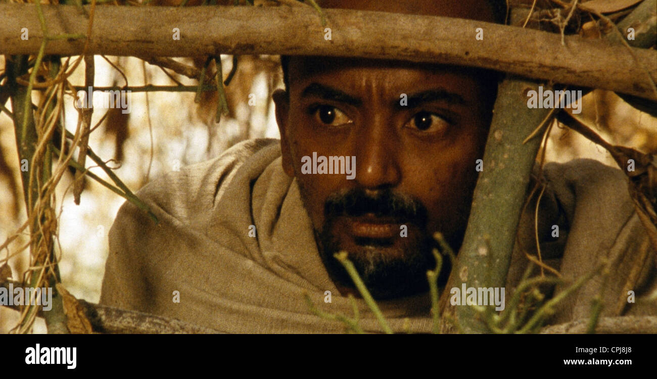 2008 ethiopia director hi-res stock photography and images - Alamy