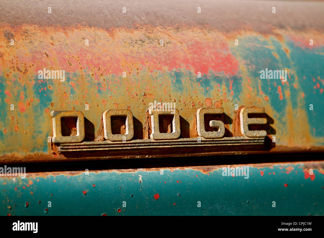 Classic American Cars from the mid Century including Ford, Dodge, Buick ...