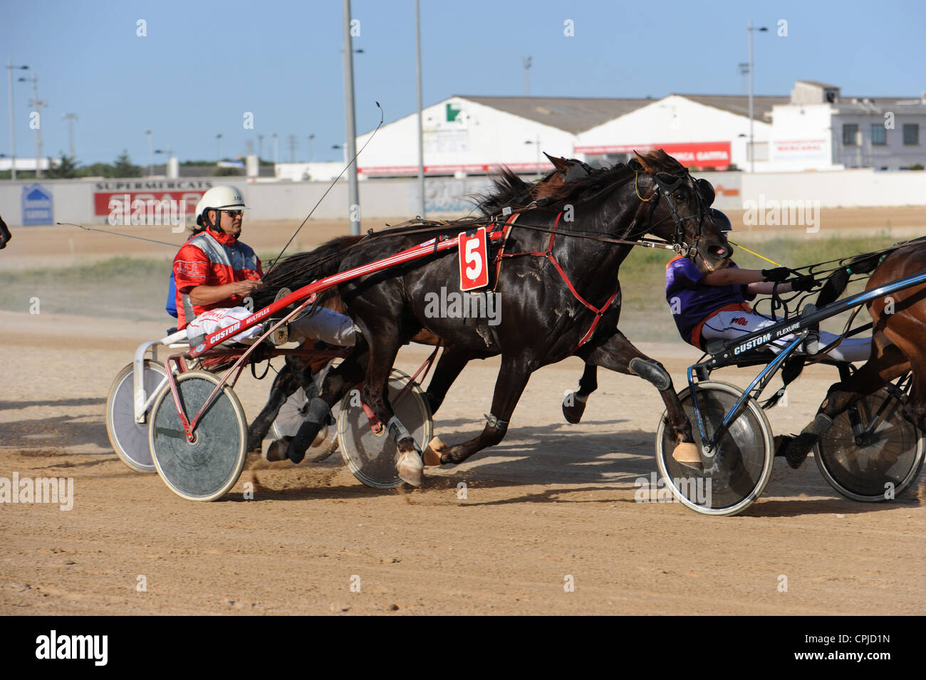 Trotting races hi-res stock photography and images - Alamy