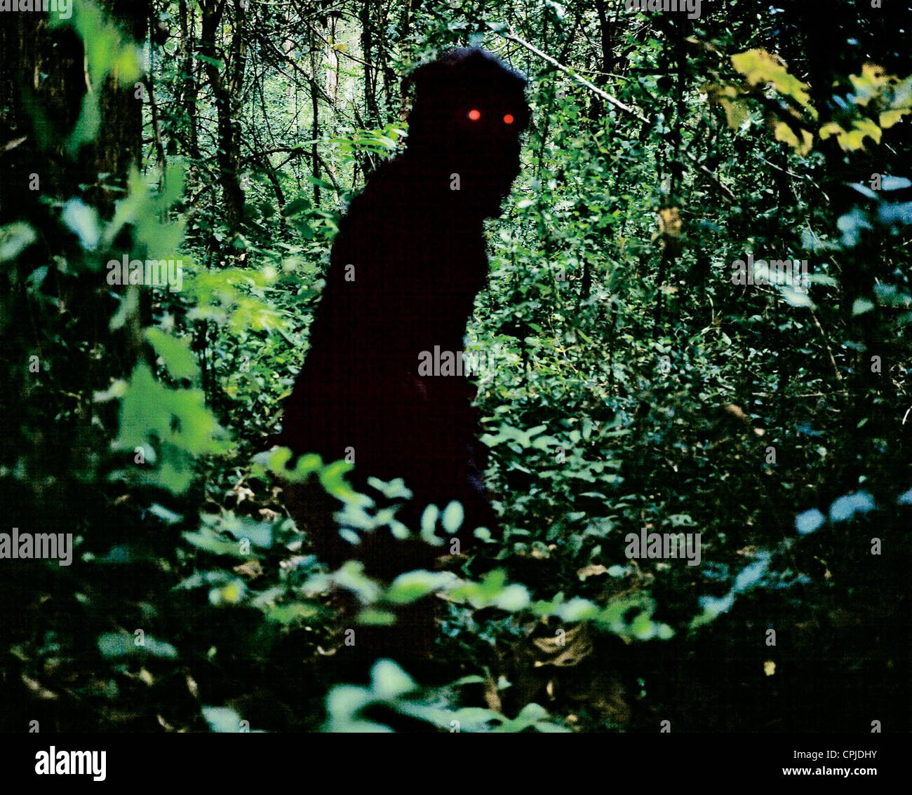 Boonmee hi-res stock photography and images - Alamy