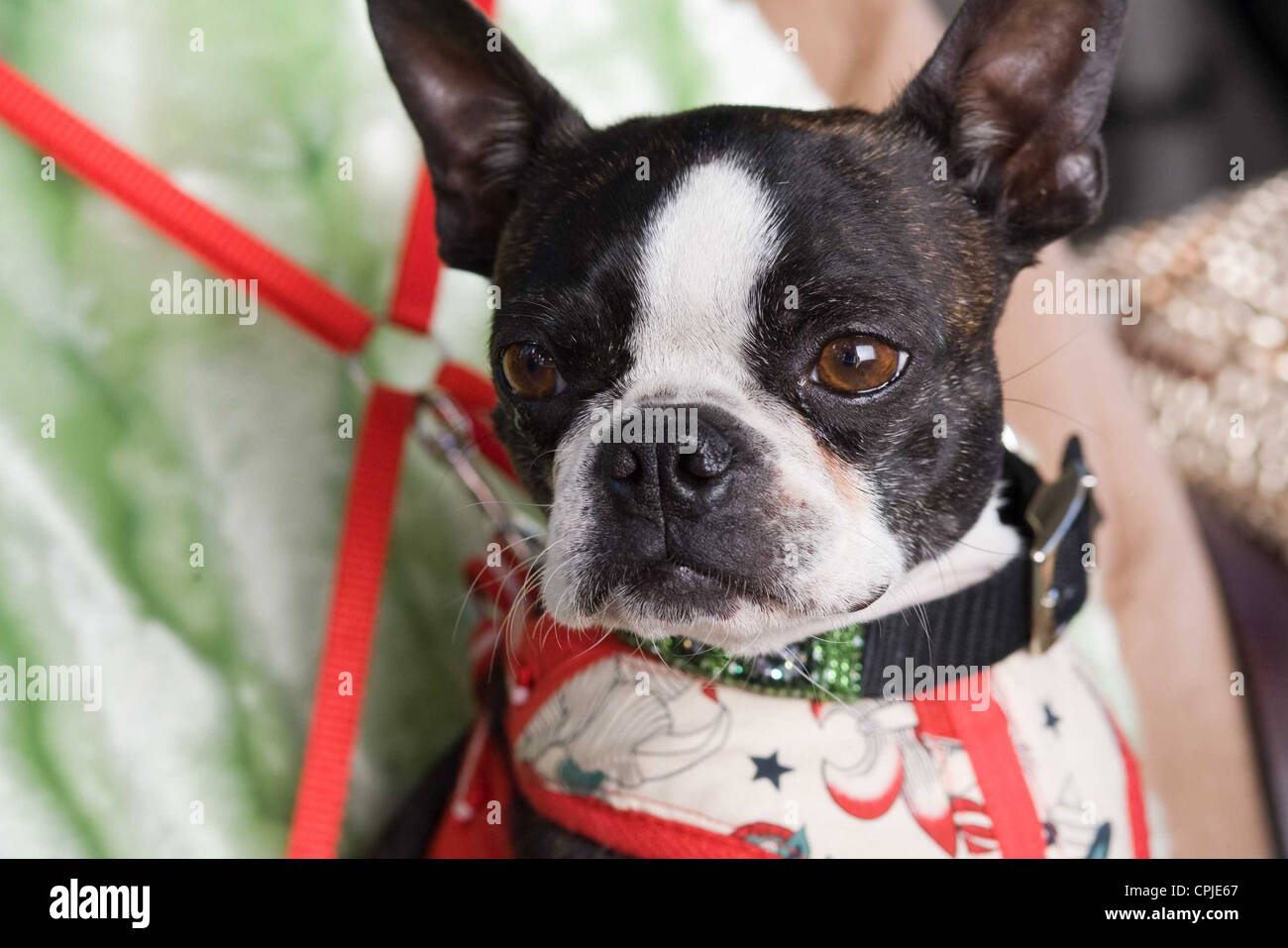 The Back-up Plan Stock Photo - Alamy