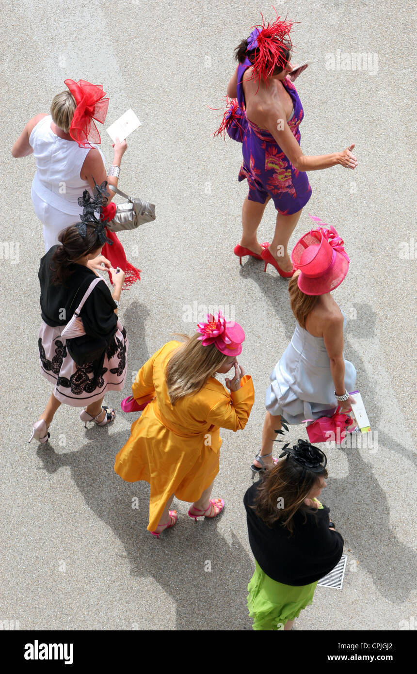Elegantly dressed women wearing fancy hats at horse races, Ascot, UK ...