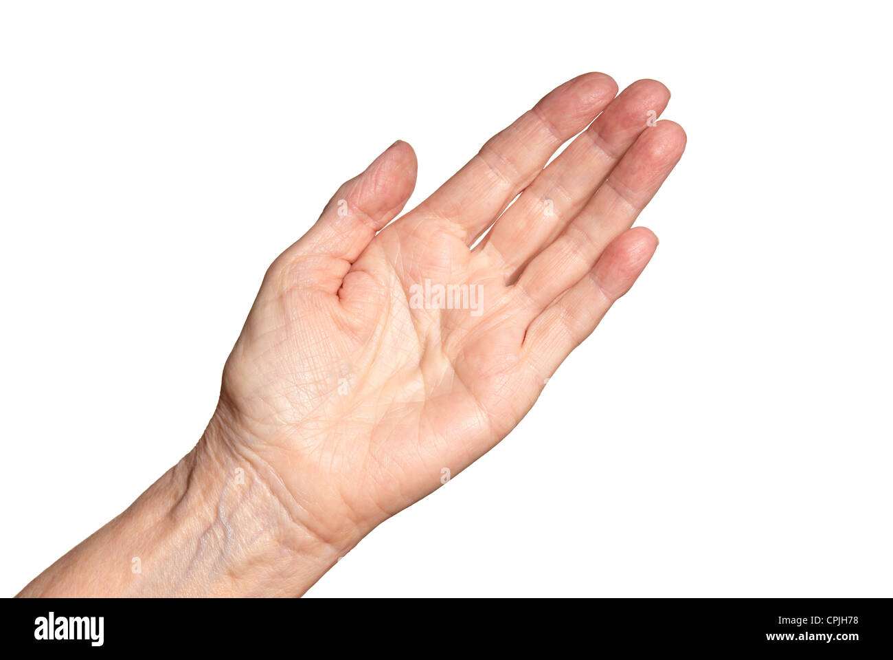 Studio shot of female hand. Isolated on white background Stock Photo ...