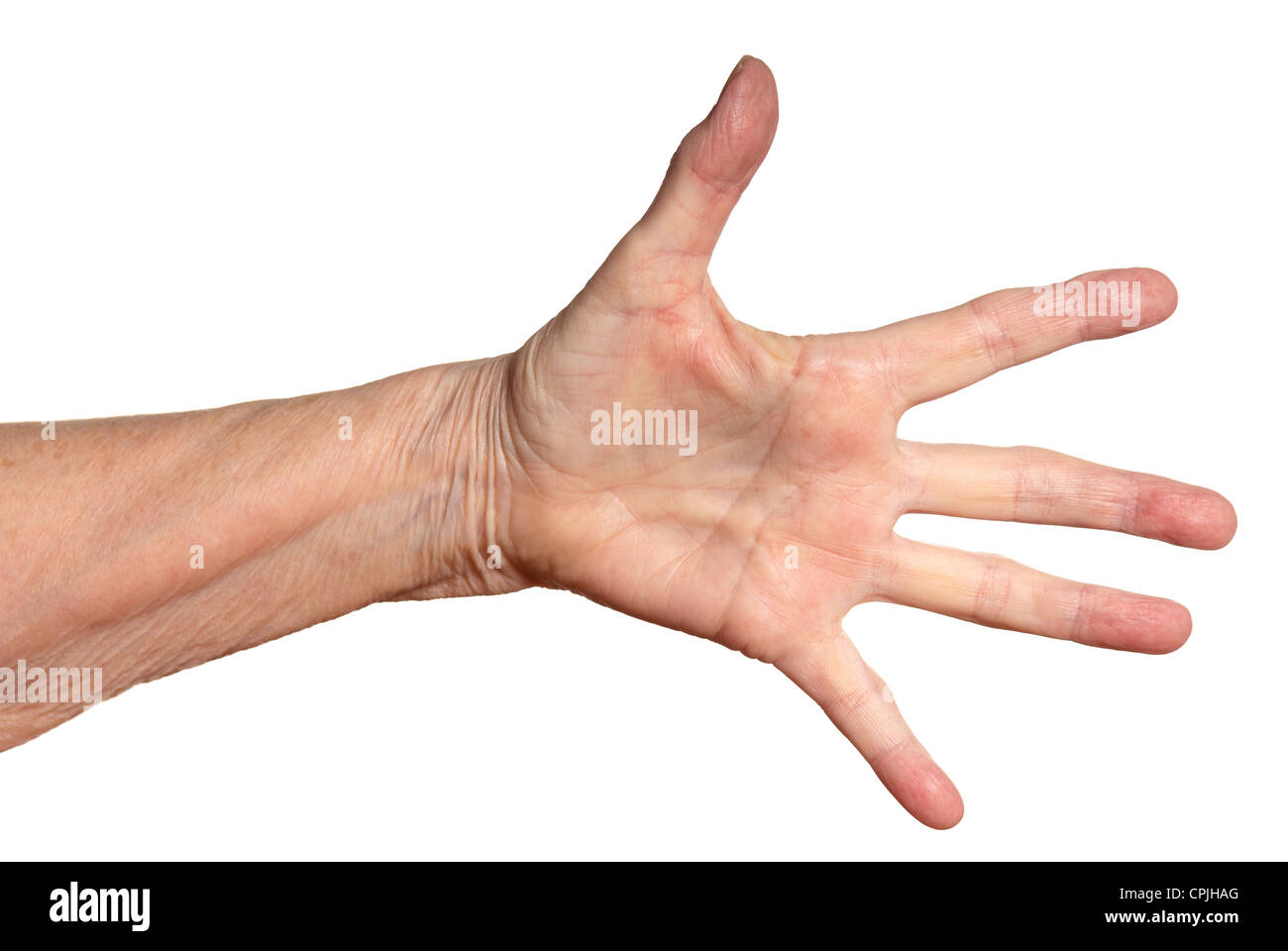 Studio shot of female hand. Isolated on white background Stock Photo ...