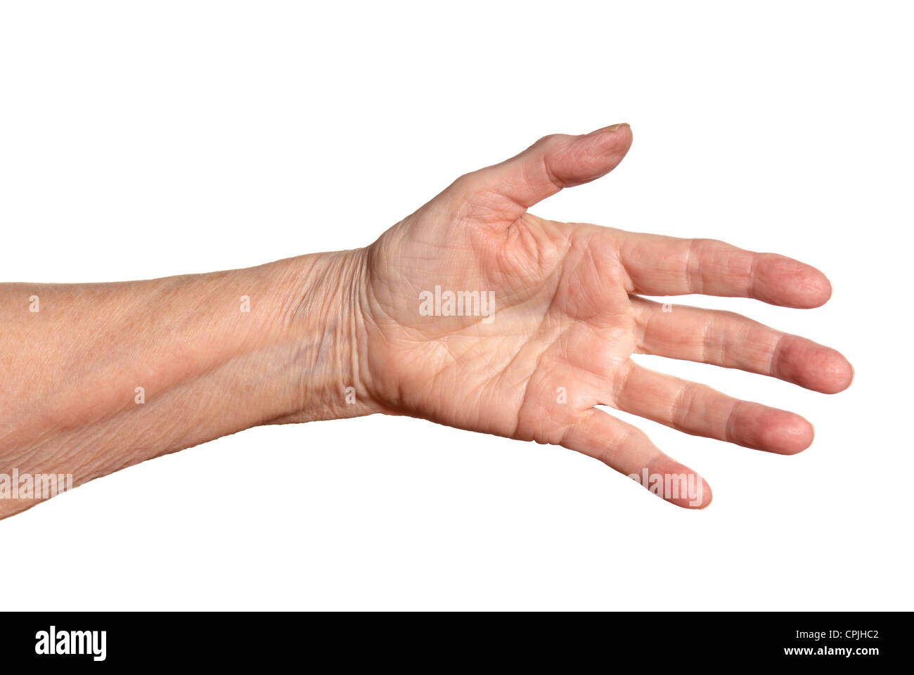 Studio shot of female hand. Isolated on white background Stock Photo ...