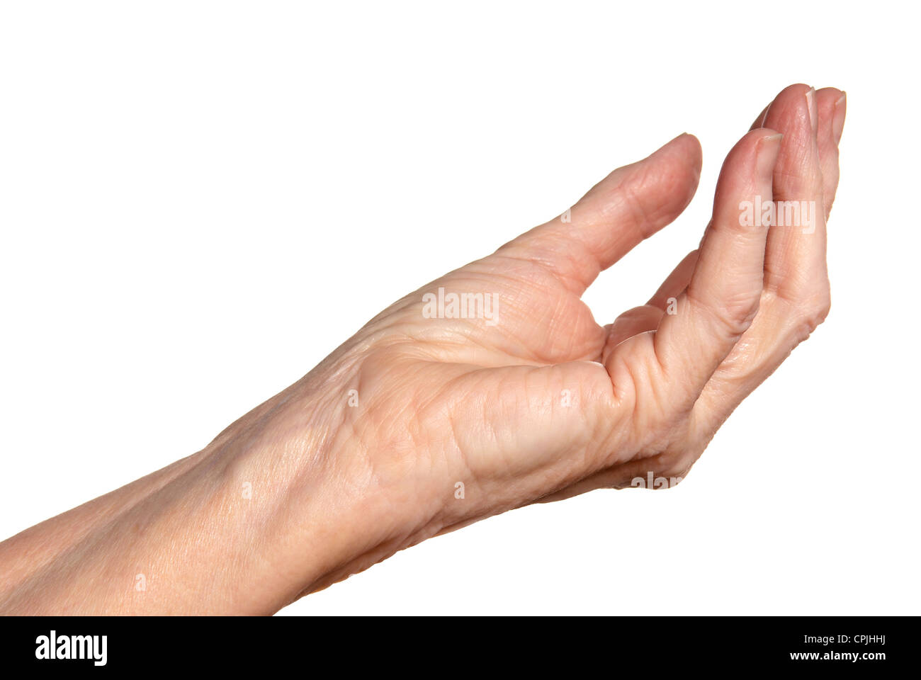 Studio shot of female hand. Isolated on white background Stock Photo ...