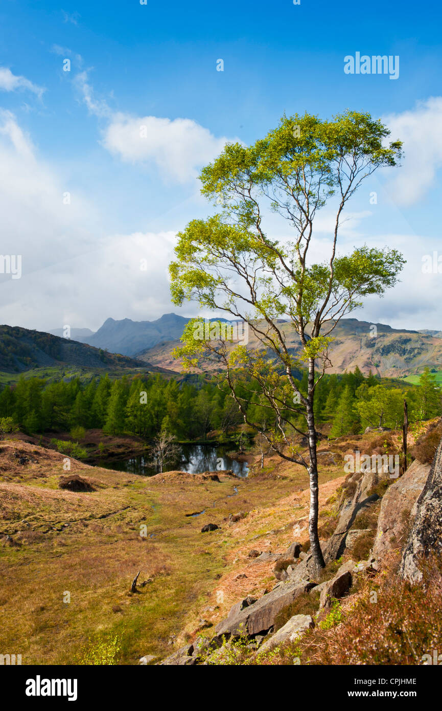 A view of the Langdale Pikes from Holme Fell in Cumbria Stock Photo - Alamy