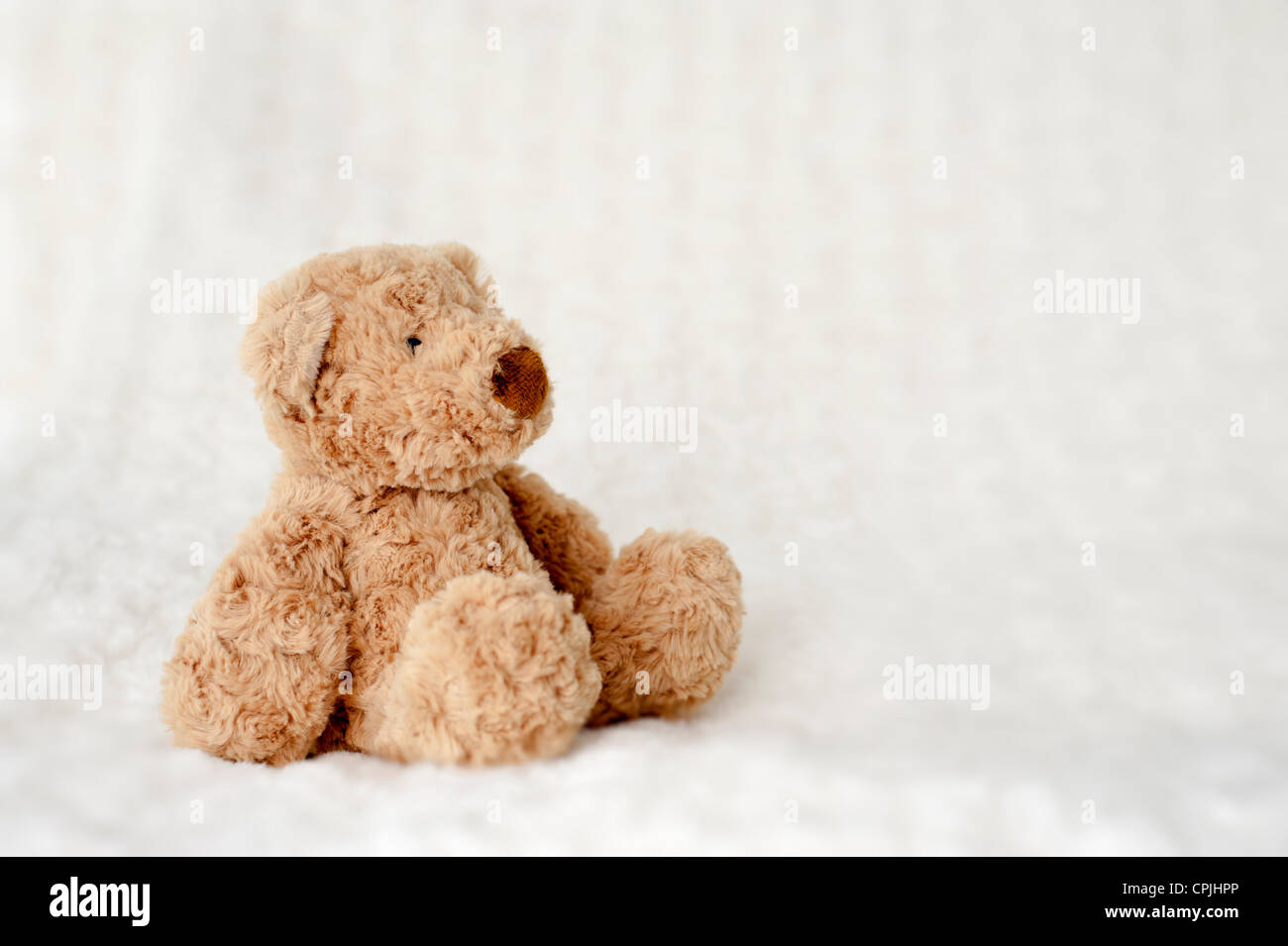 teddy bear seated on white carpet Stock Photo - Alamy