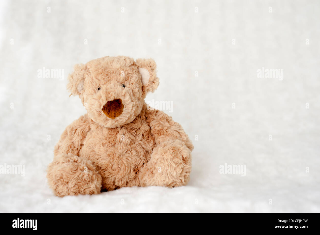 teddy bear seated on white carpet Stock Photo - Alamy