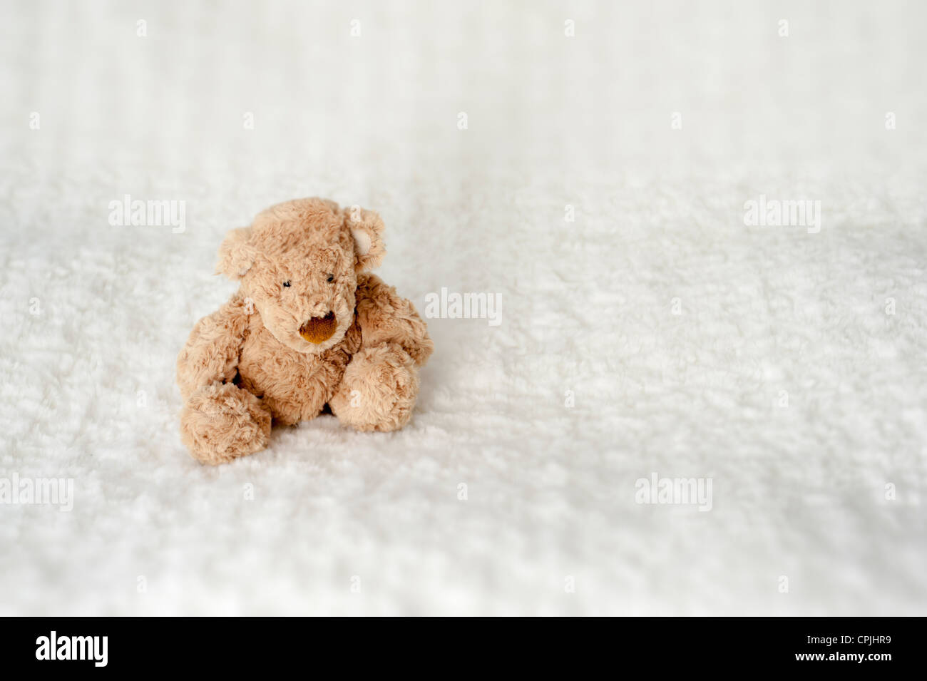 teddy bear seated on white carpet Stock Photo - Alamy