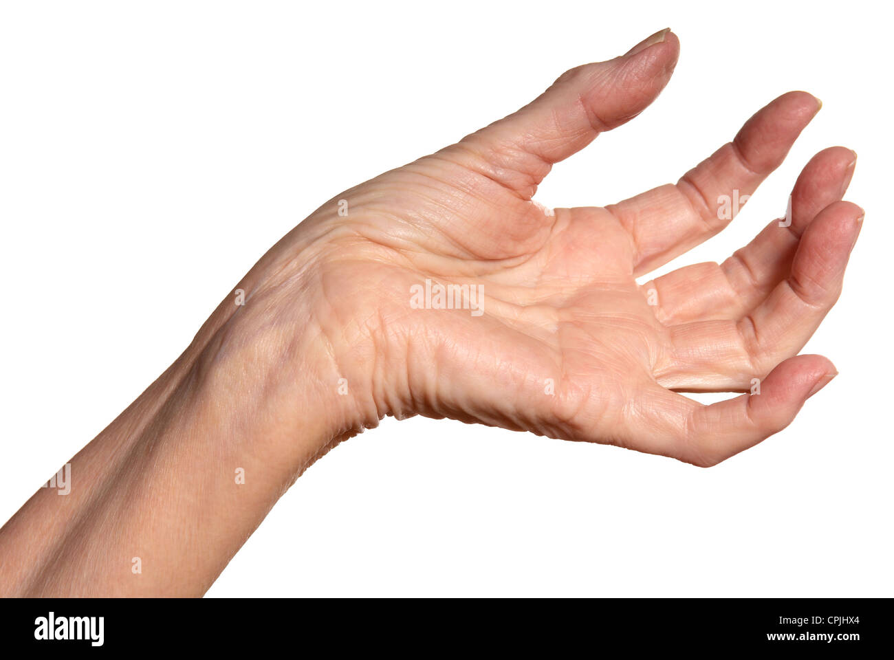 Studio shot of female hand. Isolated on white background Stock Photo ...