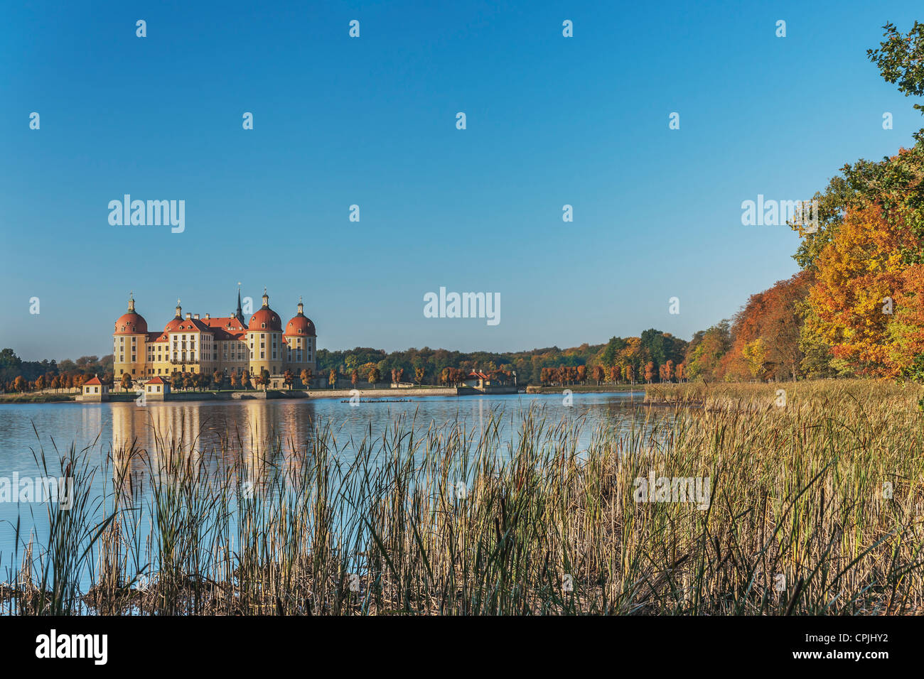 Schloss Moritzburg, Sachsen Deutschland, Europa | Moritzburg Castle ...