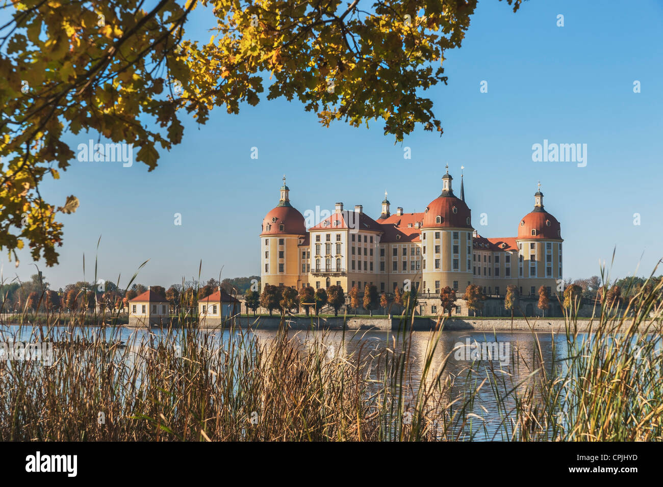 Schloss Moritzburg, Sachsen Deutschland, Europa | Moritzburg Castle ...
