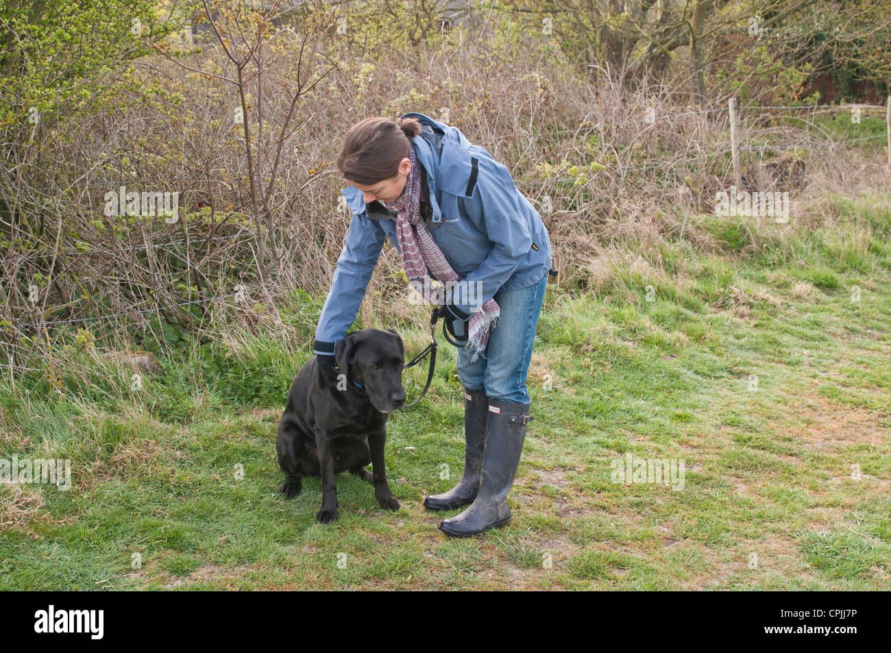 Woman walking with a black Labrador on the Downs Stock Photo - Alamy