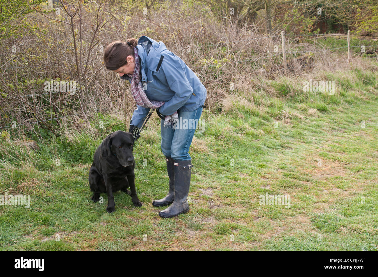 Woman walking black labrador on hi-res stock photography and images - Alamy