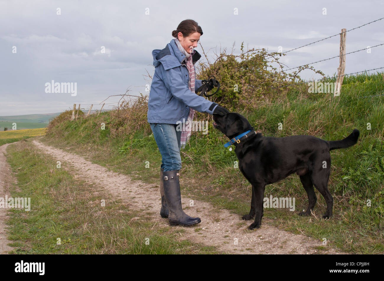 Woman walking with a black Labrador on the Downs Stock Photo - Alamy