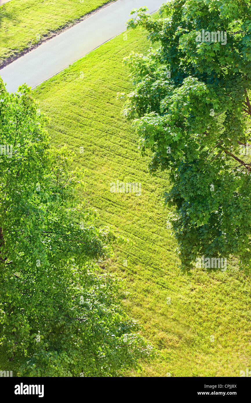 The cut lawn shined with a sunlight Stock Photo - Alamy