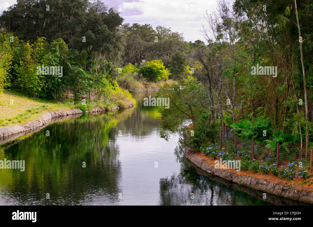 Disney’s animal kingdom hi-res stock photography and images - Alamy