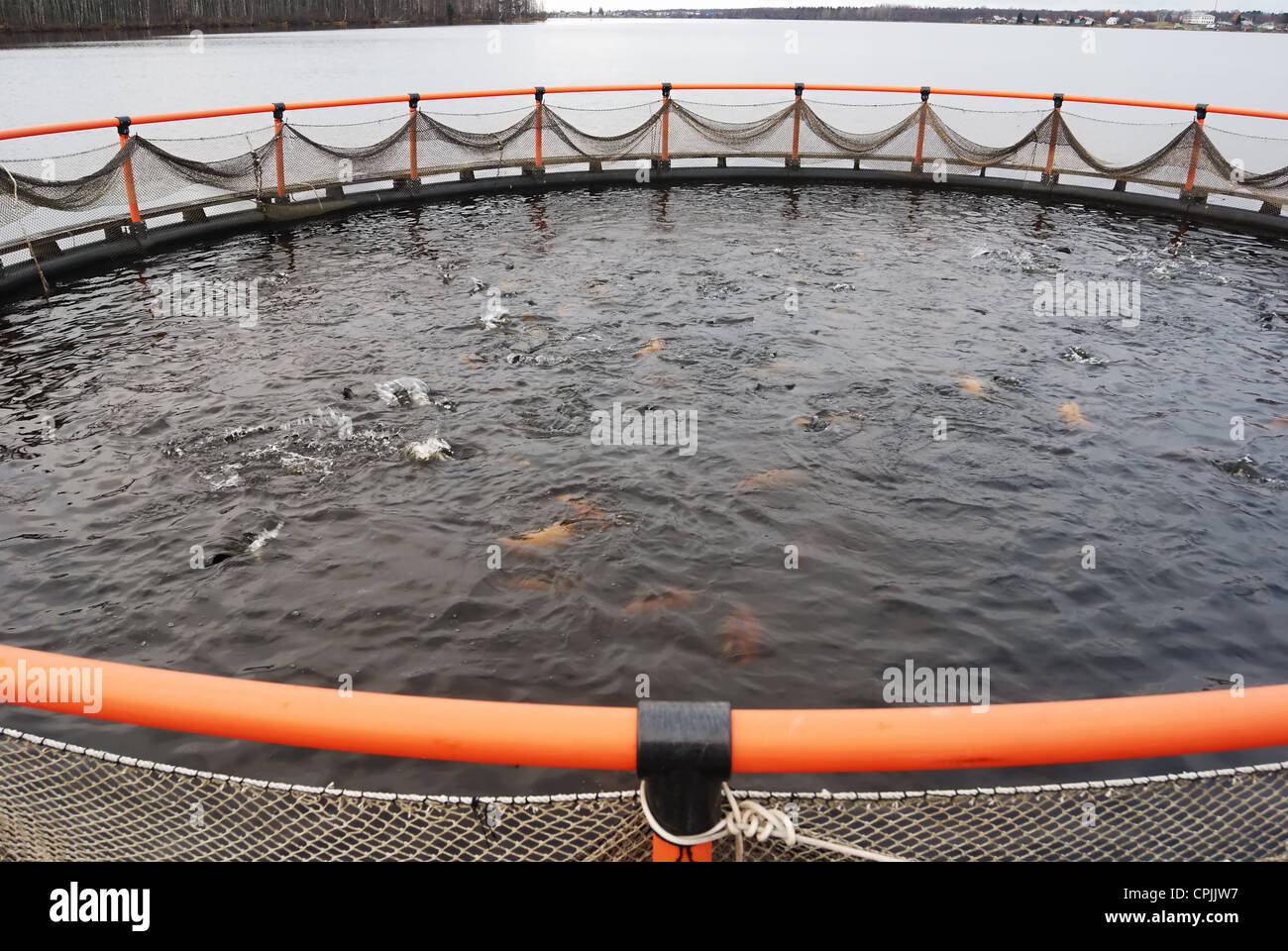 ponds to grow fish in the lake Stock Photo - Alamy