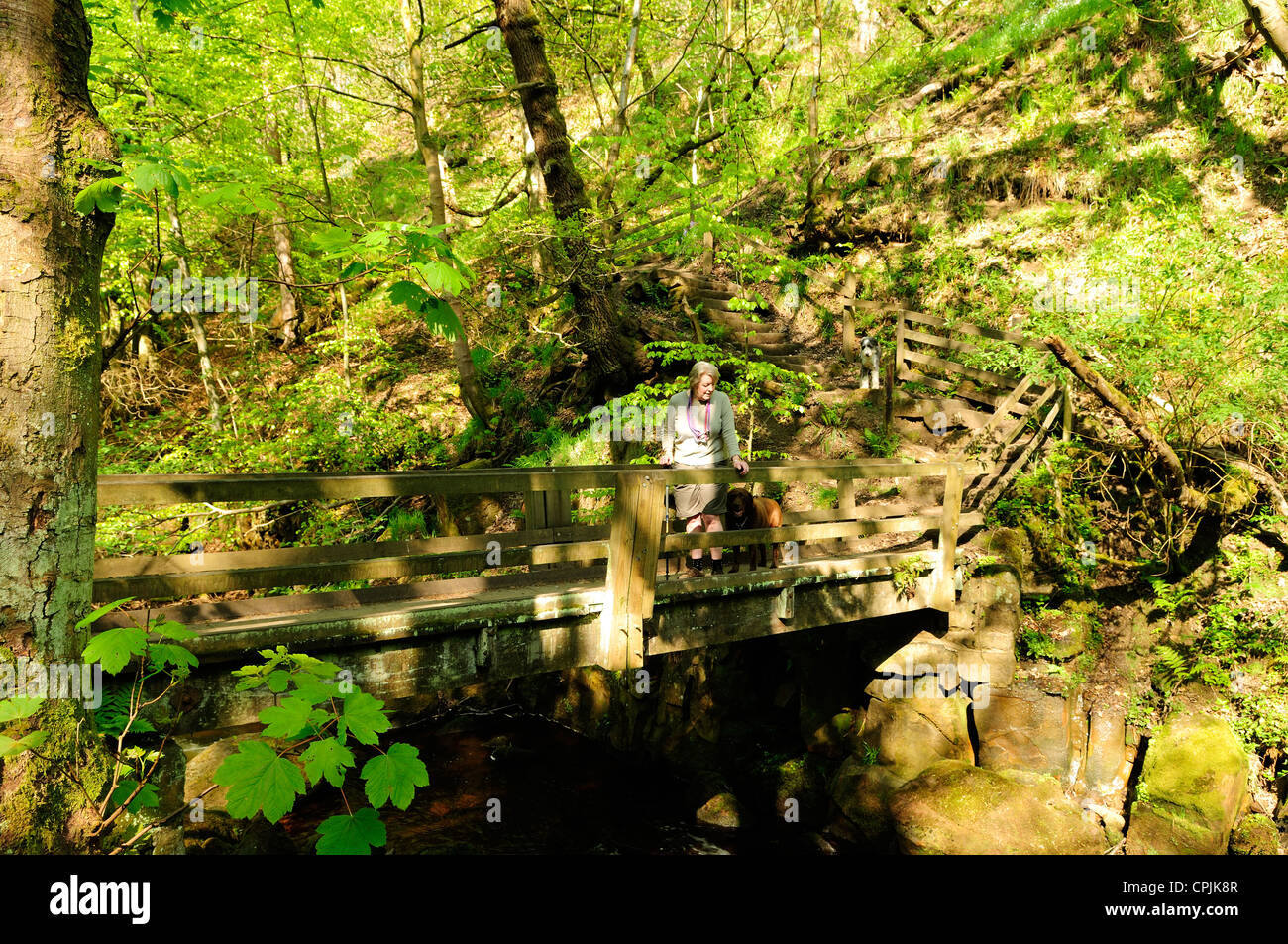 Padley gorge spring hi-res stock photography and images - Alamy
