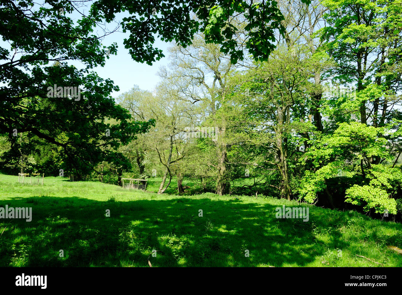 Derbyshire Grass Meadow England Stock Photo - Alamy
