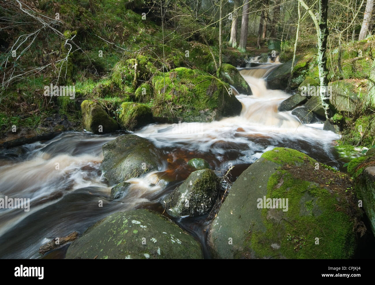Wyming Brook Nature Reserve on the border of the the City of Sheffield ...