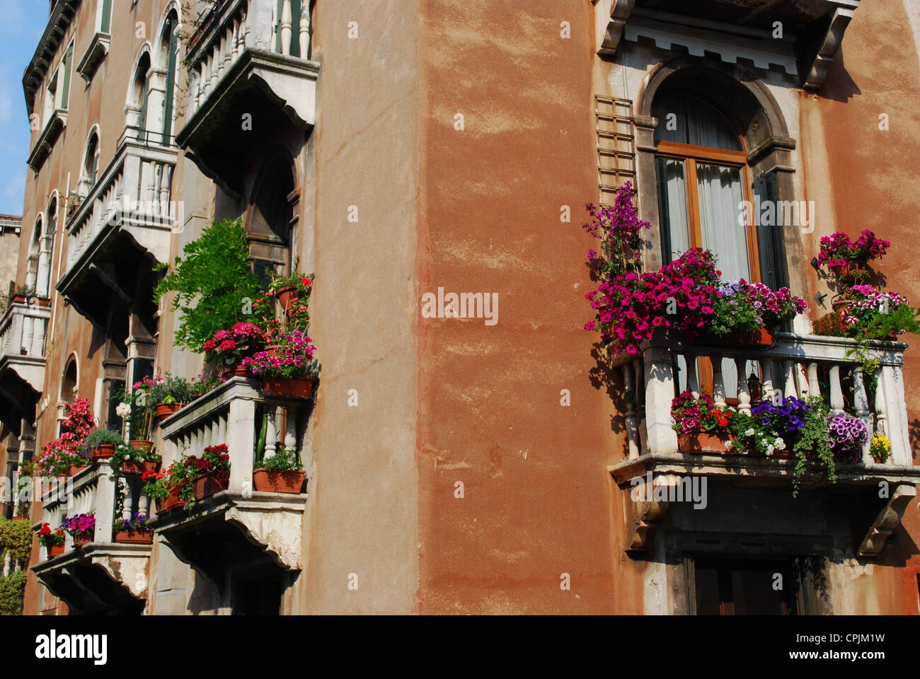 Ancient arched windows with balcony and flowers in Venice, Italy Stock ...