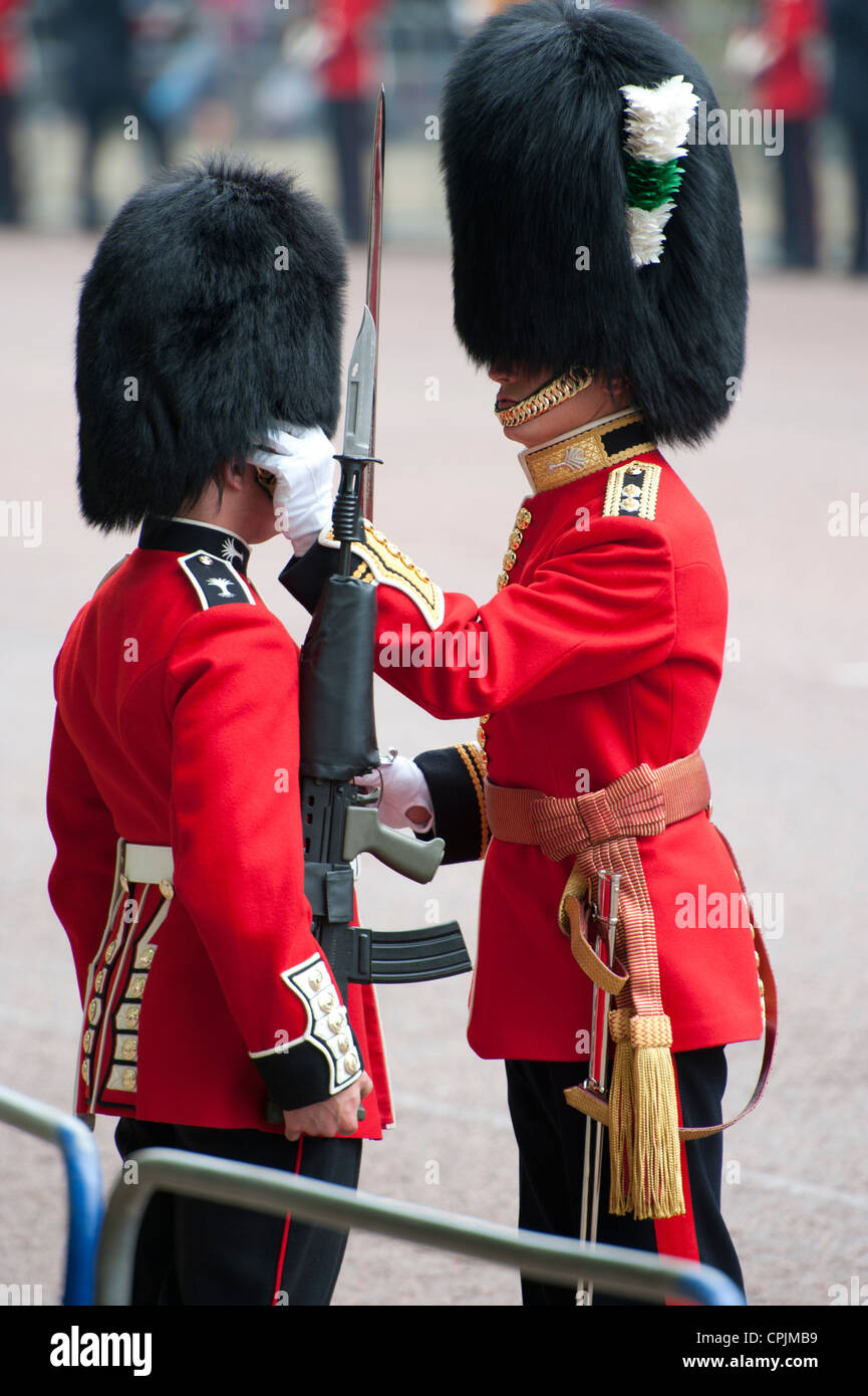 Bearskin hat hi-res stock photography and images - Alamy
