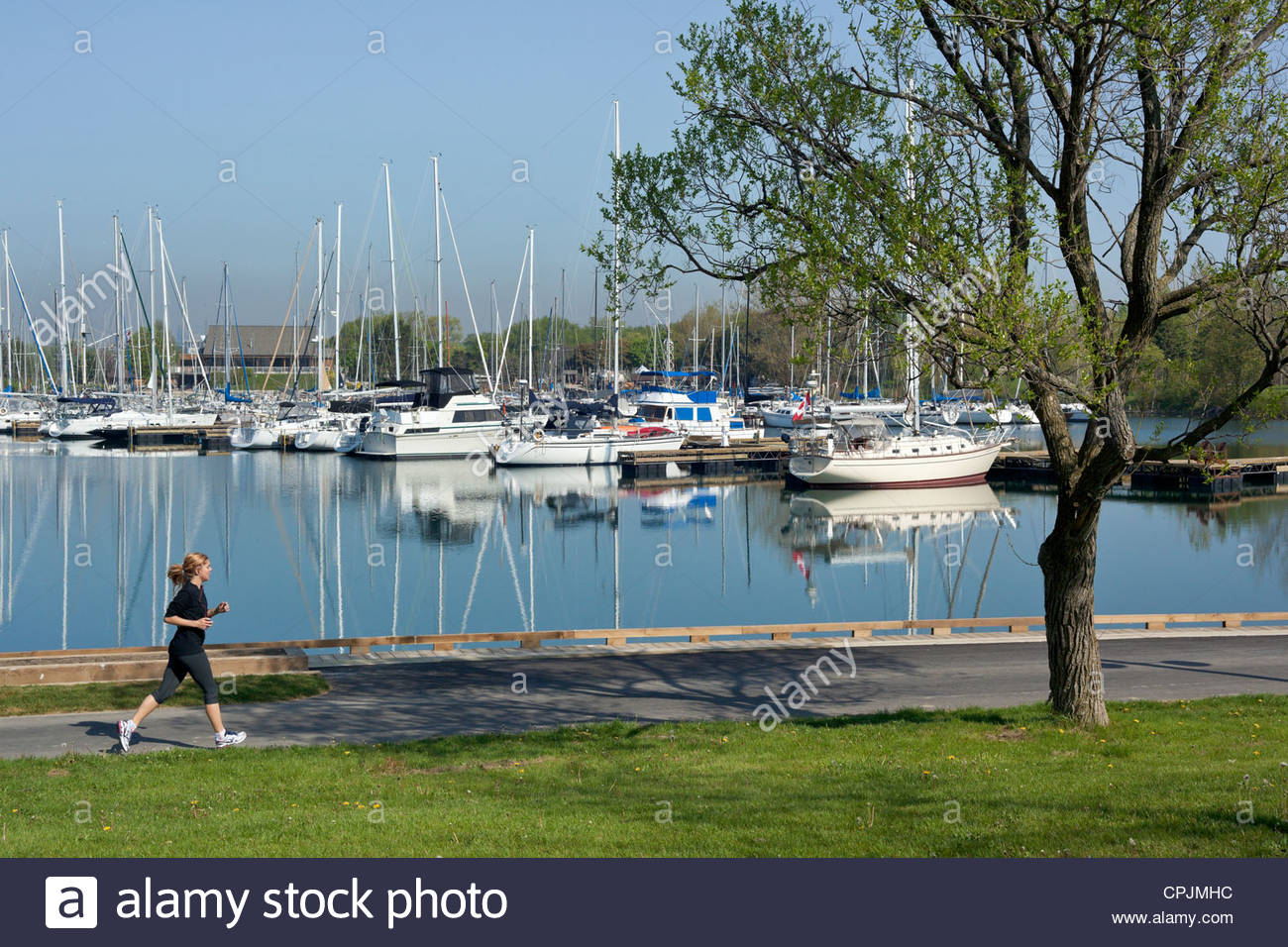 Toronto Ashbridges Bay Park High Resolution Stock Photography and ...
