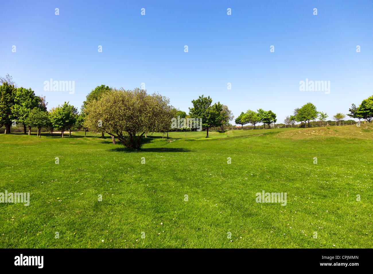 Idyllic golf course Stock Photo - Alamy