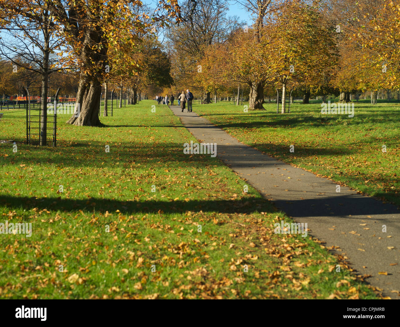 long path Phoenix Park Stock Photo - Alamy