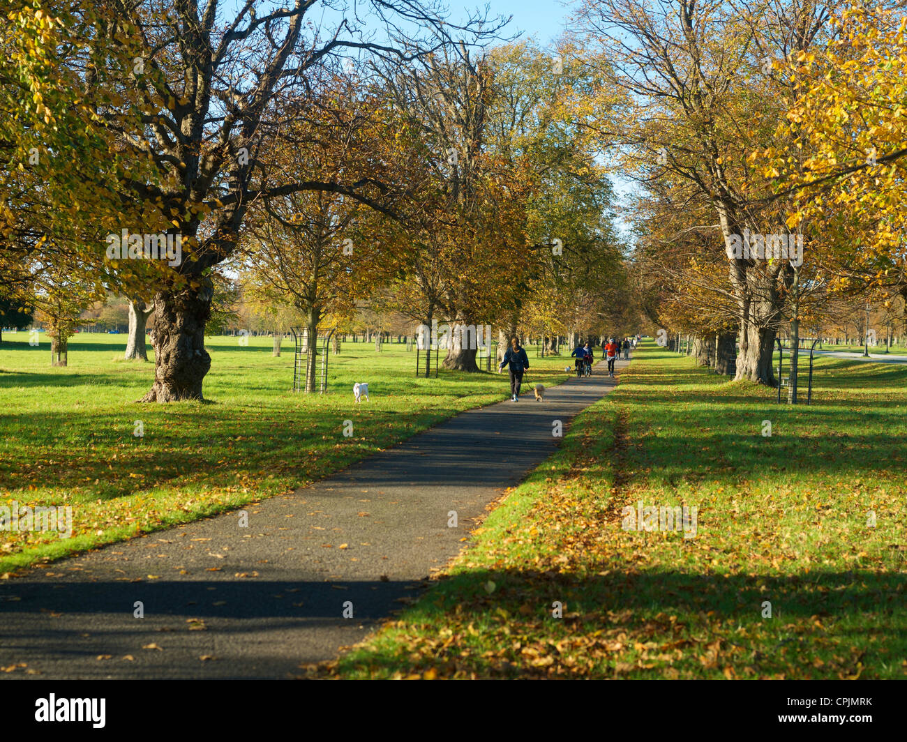 Phoenix Park Dublin Stock Photo - Alamy
