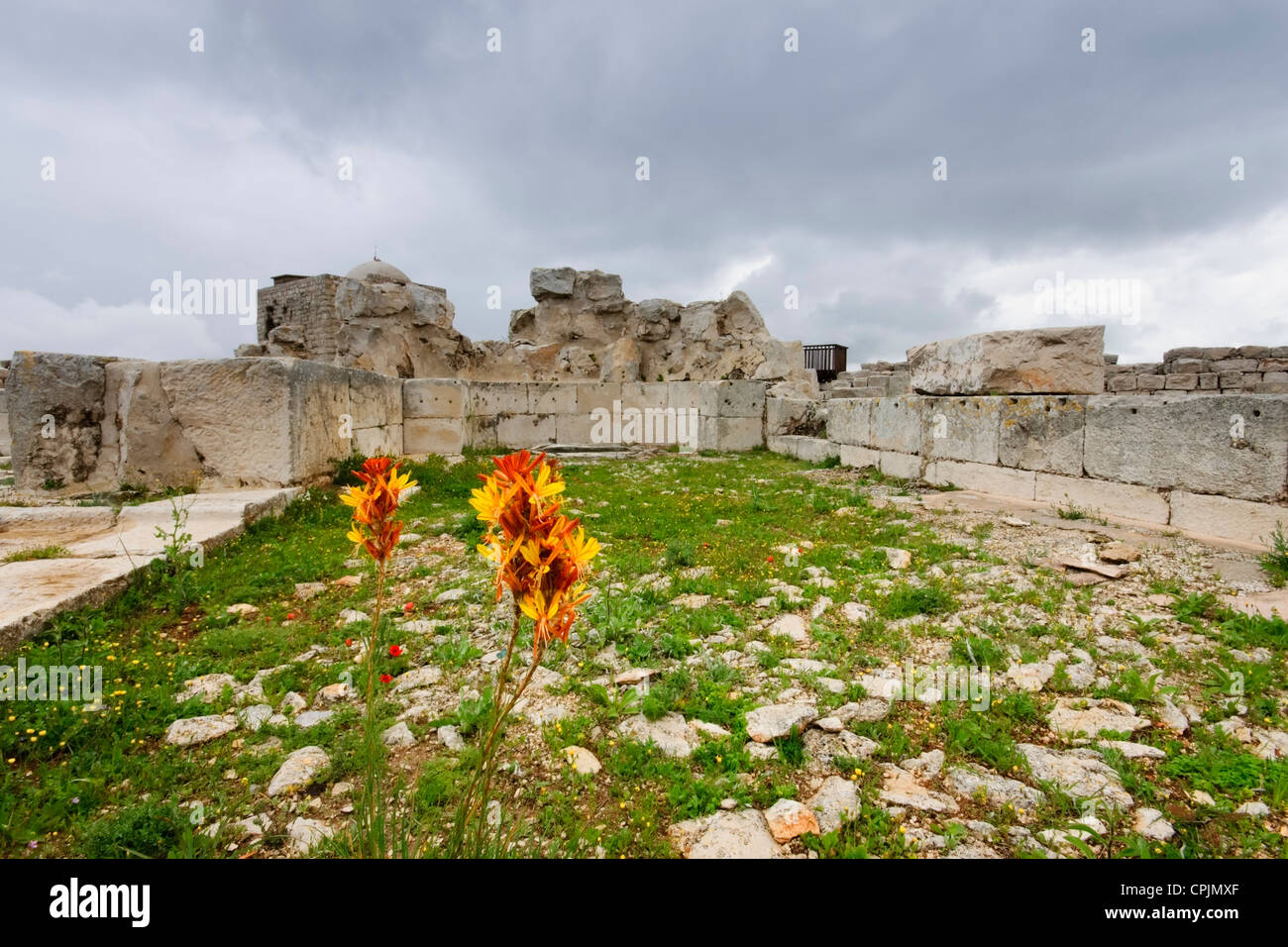 Mount gerizim hi-res stock photography and images - Alamy