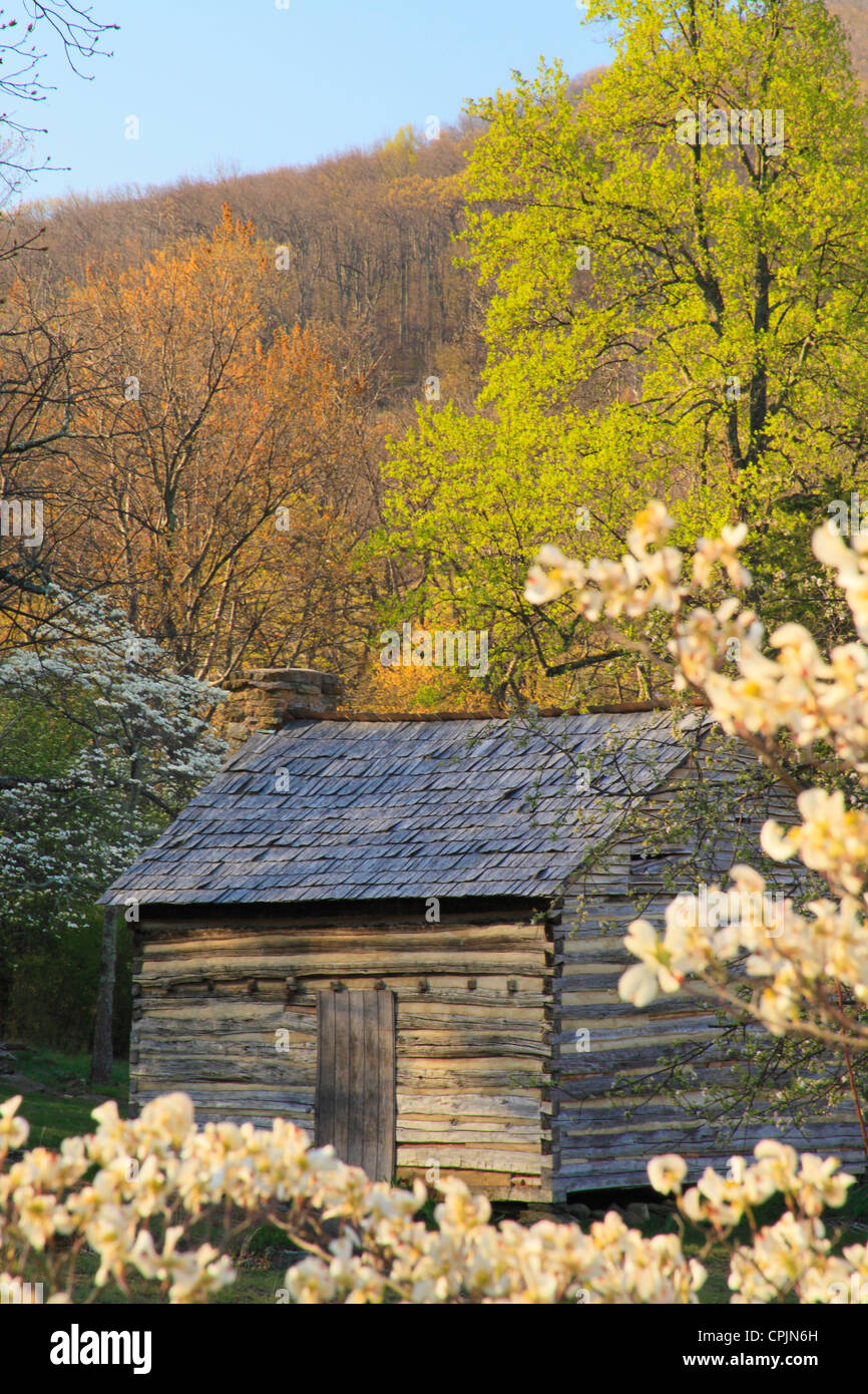 Dogwood tree blue ridge parkway hi-res stock photography and images - Alamy