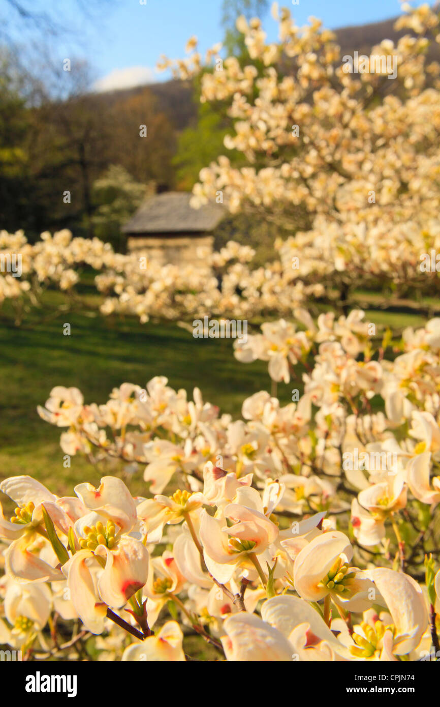 Humpback rocks mountain farm hi-res stock photography and images - Alamy