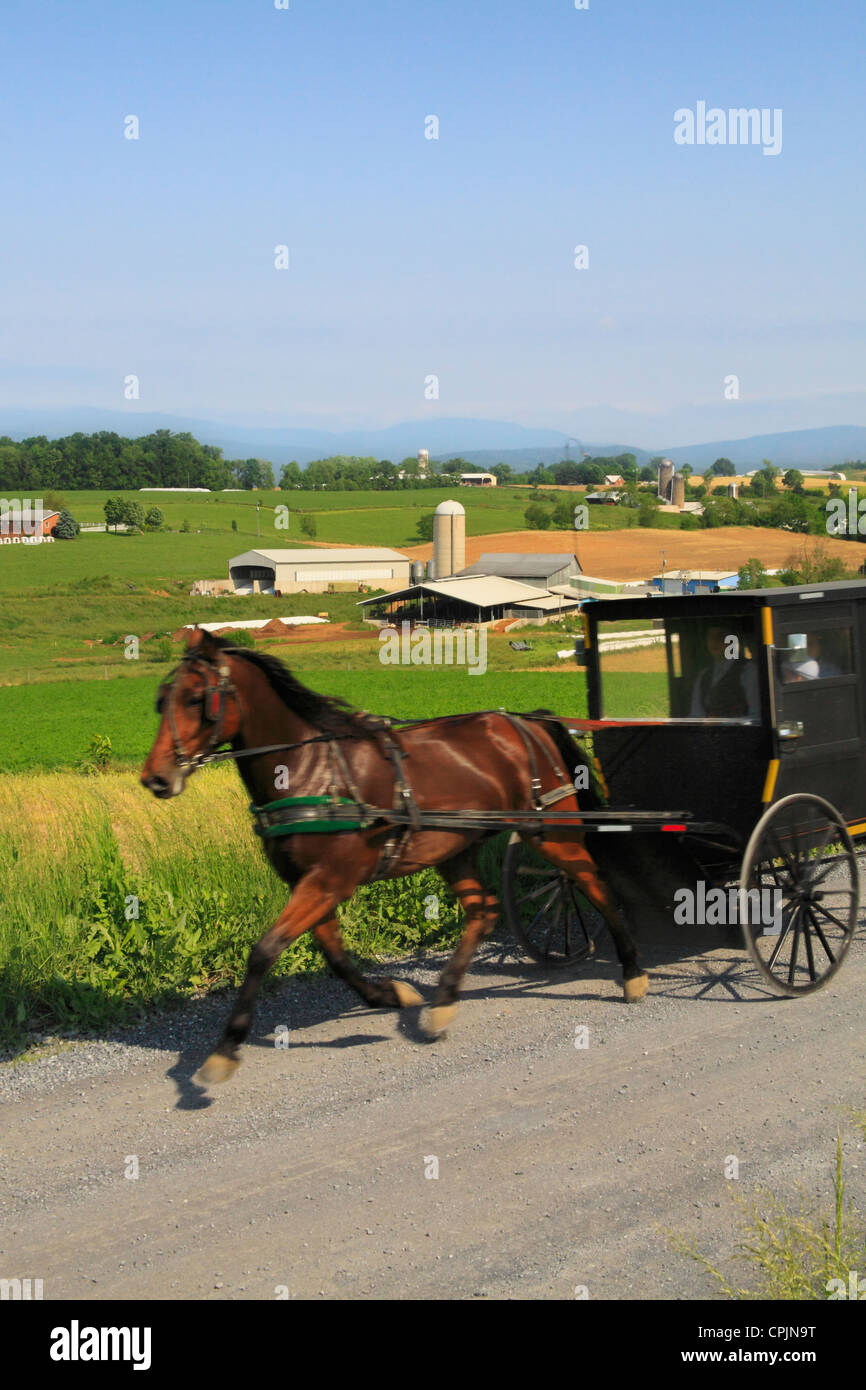 Mennonite buggy hi-res stock photography and images - Alamy